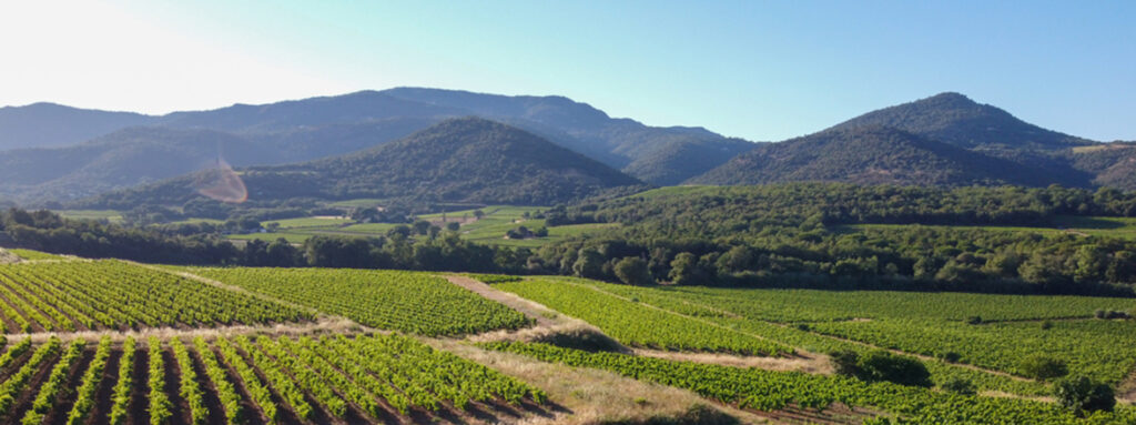 Une concertation à l’initiative du Maître d’Ouvrage - SIVED